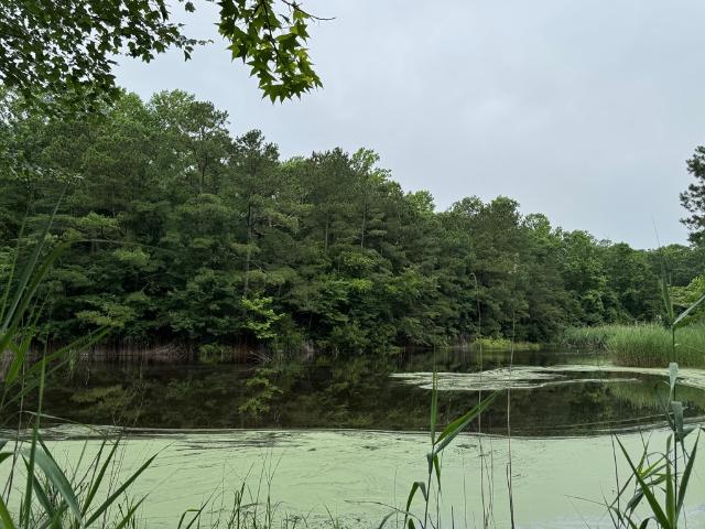 Lot 1879 Buccaneer Blvd