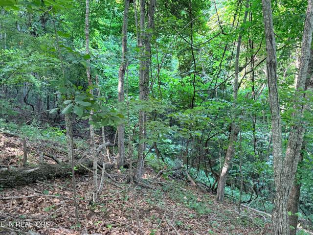 Lot 188 Chimney Rock Rd