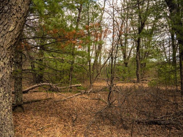 Lot 188 18th Lane