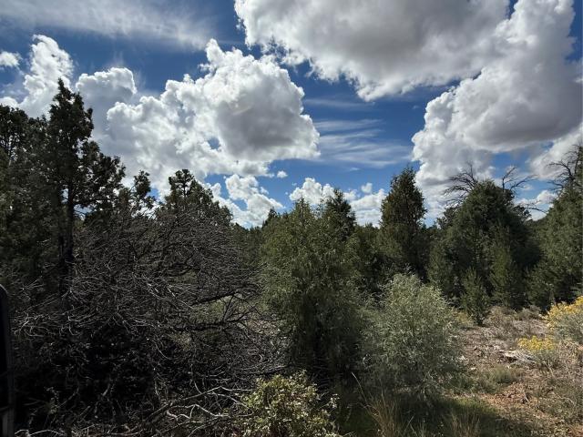 Lot 180, Lot 181, Lot 223 San Pedro Estates 3