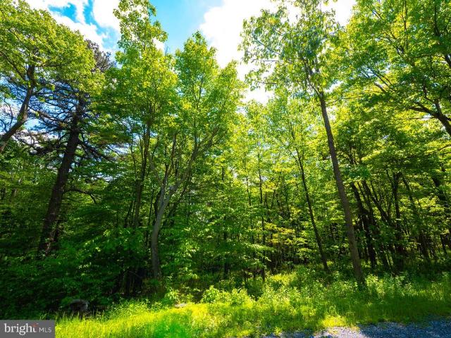 Lot 181 Rockwood Trail