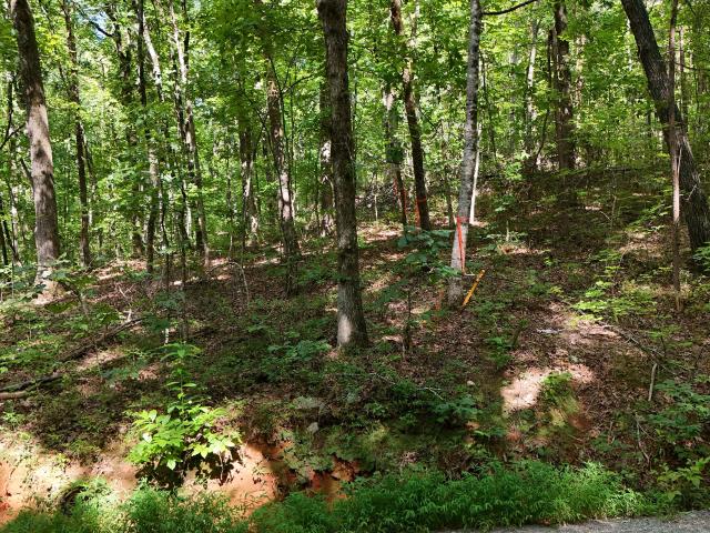 LOT 182 Hillside Drive
