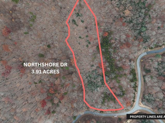 Lot 183 Northshore Dr, Cleveland, GA 30528 | MLS #10796