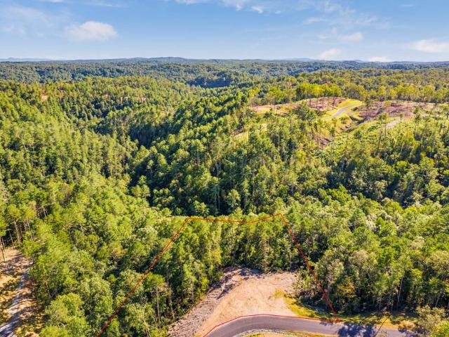 Lot 183 Canoe Point, Ellijay, GA 30540 | MLS #422511