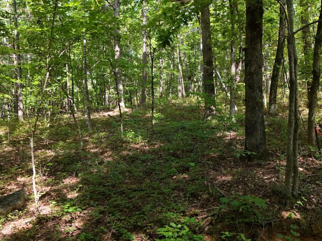 LOT 183 Hillside Drive