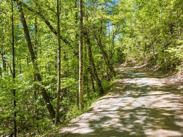 LOT 18 Cub Trail