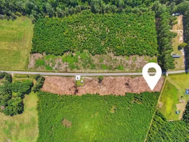 Lot 18 Black Creek Rd, Nichols, SC 29581 MLS 2419812