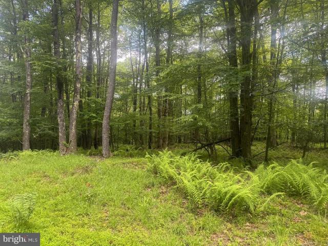 Lot 18 Buck Drive