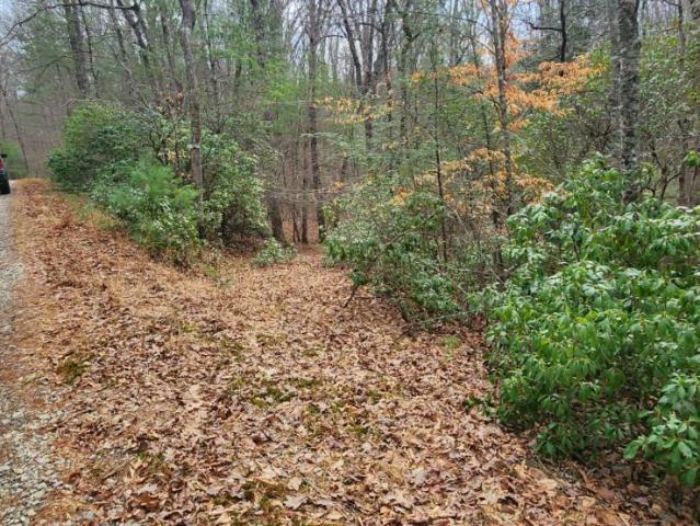 LOT 18 Gray Fox Trail