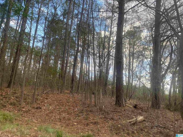 Lot 18 dogwood circle # 18