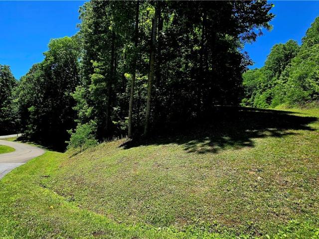 Lot 18 Elk Creek Mountain Parkway