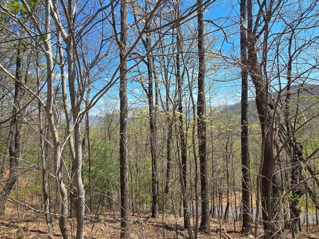 LOT 18 Overlook Loop