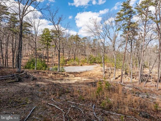 LOT 18 Loop Court