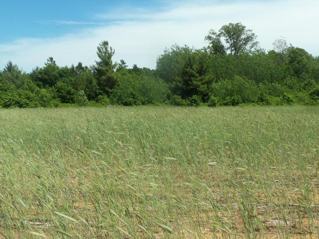 Lot 18 Maple Ln, Siren, WI 54872 | MLS #6580