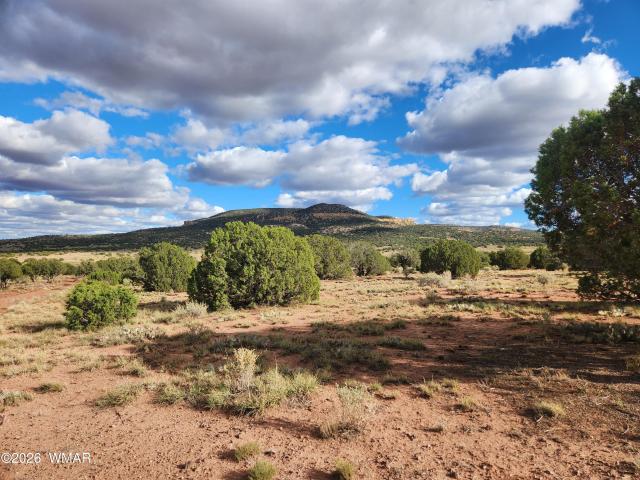 Lot 18 N8612