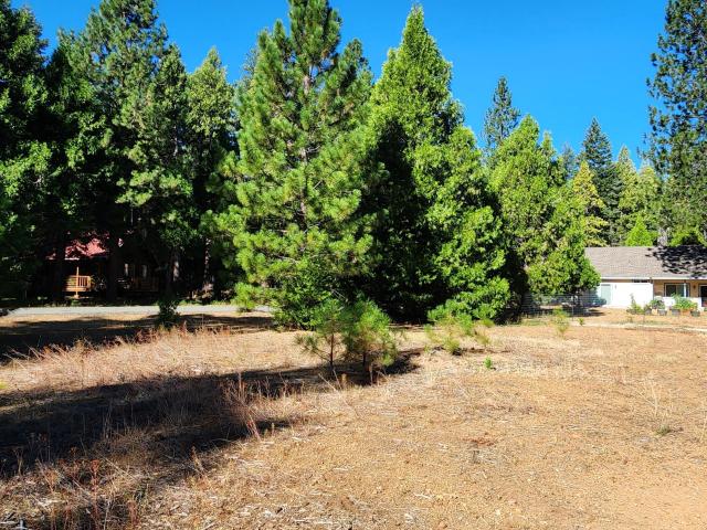 Lot 18 Nehemiah Dr, Shingletown, CA 96088 | MLS #25 3784 | Compass