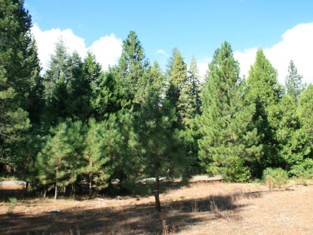Lot 18 Nehemiah Drive