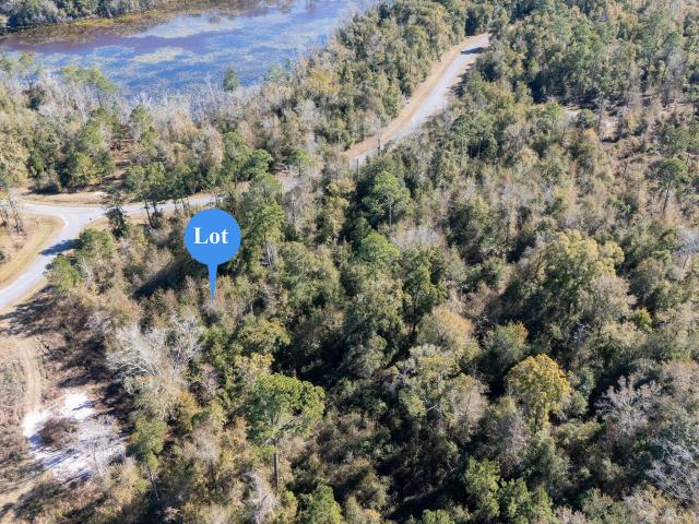 Lot 18 Seven Springs Dr, Wewahitchka, FL 32465 | MLS #767390