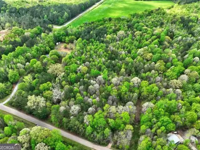 Lot 18 Shady Farms Rd, Monticello, GA 31064 MLS 10492165