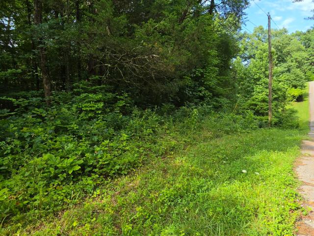 Lot 18 Pine Lane