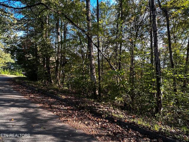 Lot 18 Revere Ave