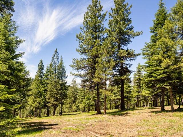 Lot 18 To Be Determined, Unit 18, McCall, ID 83638 | MLS #541688