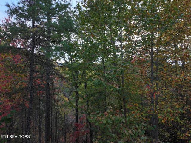 Lot 18 Turkey Crk Way, Sevierville, TN 37862 | Compass