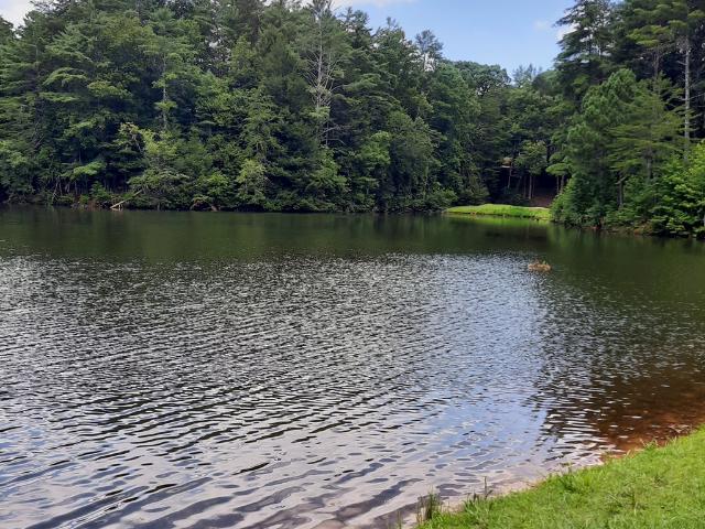 Lot 195 Shenendoa Dr, Ellijay, GA 30540 | MLS #421207