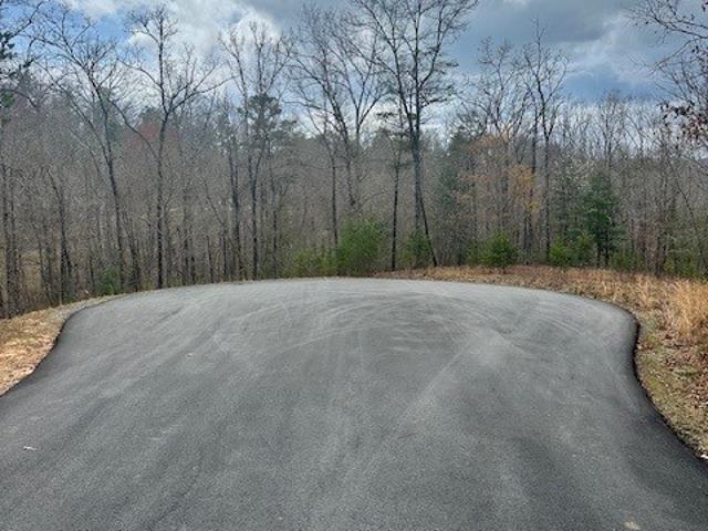 Lot 195 Trails End Way, Mineral Bluff, GA 30559 | MLS #429388