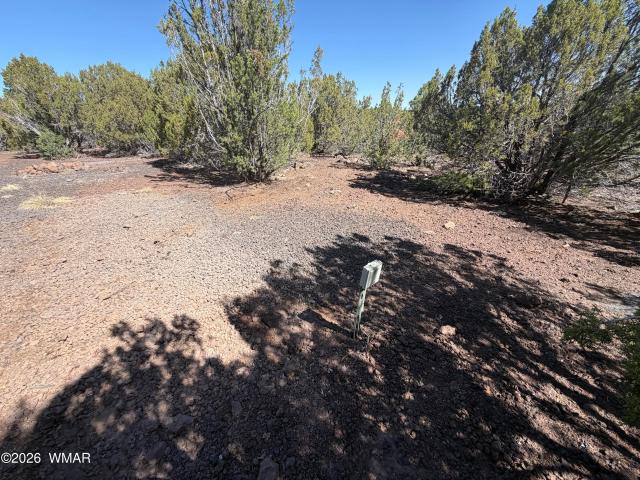 Lot 199 Road