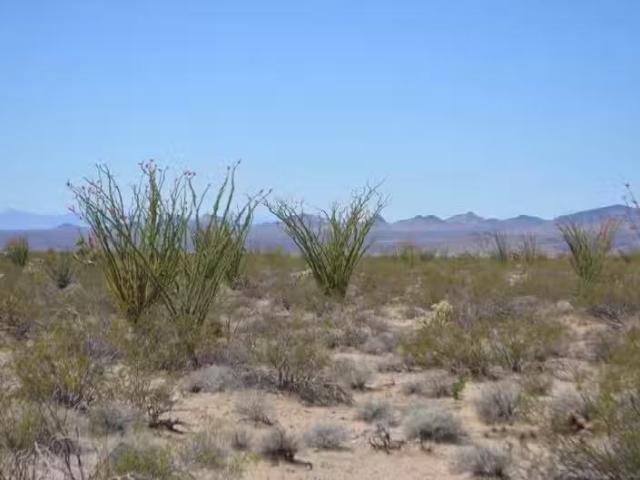 Lot 199 S Cortaro Rd, Yucca, AZ 86438 MLS 035101