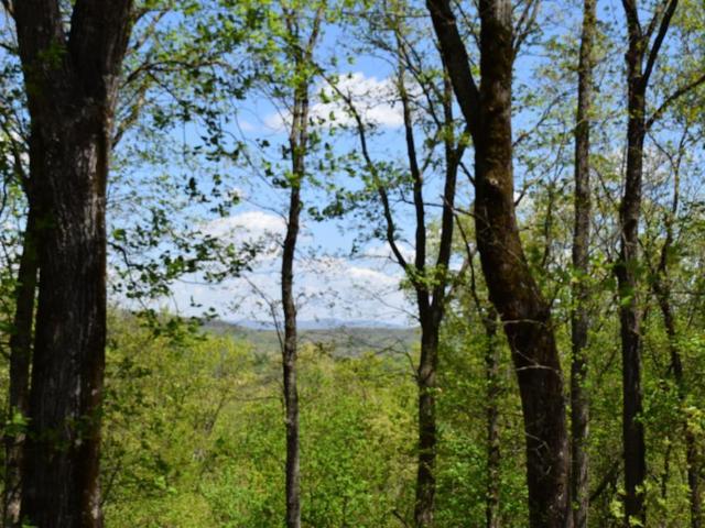 Lot 190 Hawks Nest Ct, Ellijay, GA 30536 | MLS #429735 | Compass