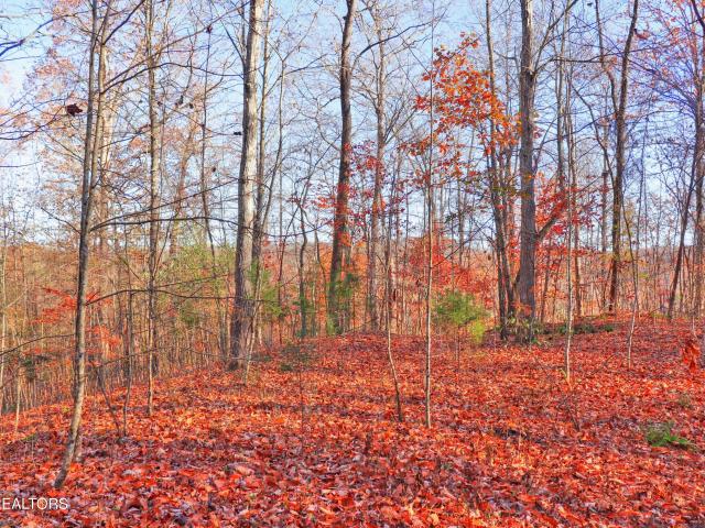 Lot 190 Hickory Way