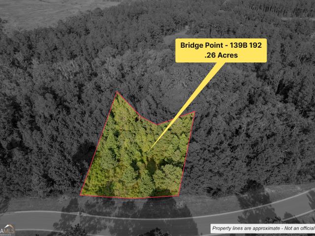 LOT 192 Bridge View Lane