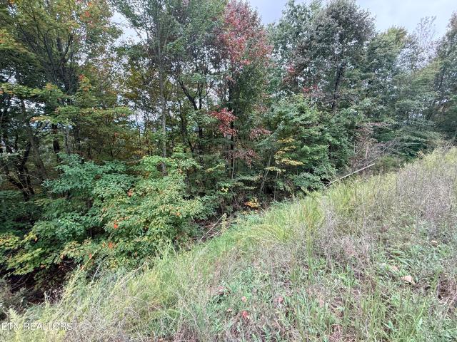 Lot 192 Clinch View Road