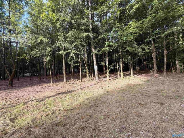 Lot 19 County Road 1011
