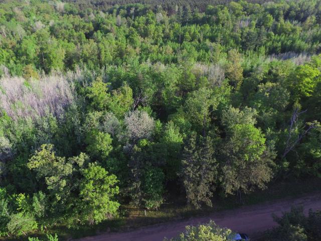 Lot 19 Aspen Hill Trailway