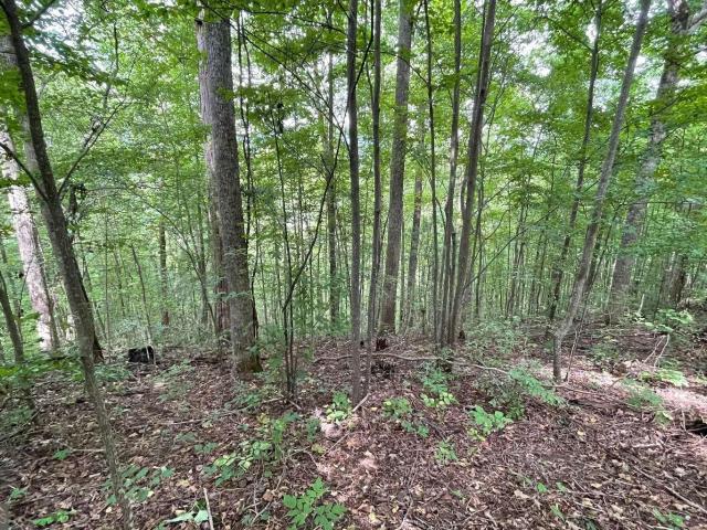 Lot 19 Bear Trail, Hiawassee, GA 30546 | MLS #20003