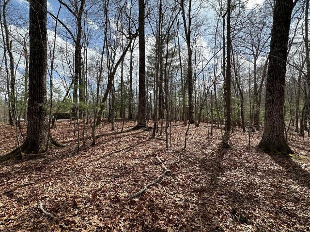 Lot 19 Black Oak Rd, Blue Ridge, GA 30513 | MLS #414098 | Compass