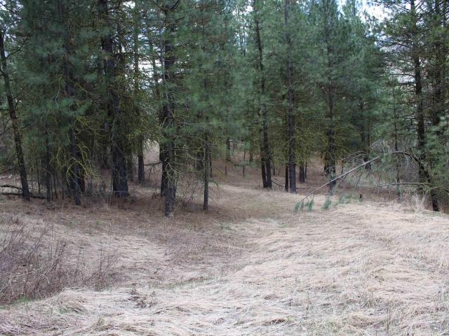 Lot 19 blk 1 Creekside At Cross Timber Ranch