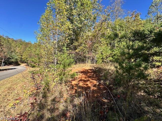 Lot 19 Longview Bluffs