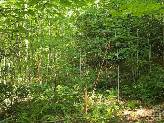 Lot# 19 Mill Creek Road