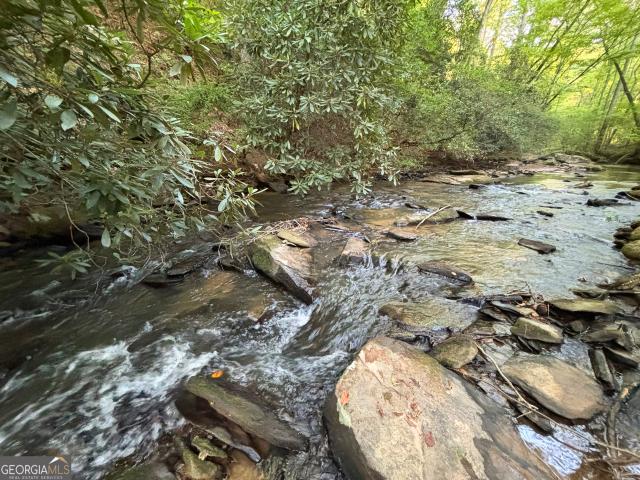 Lot 19 mt. Springer Road