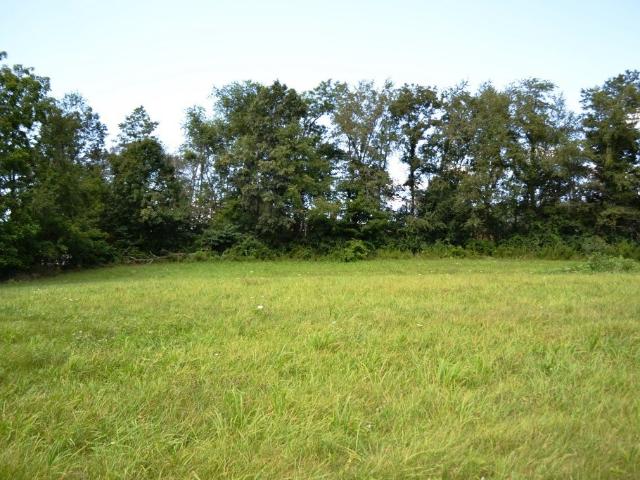 Lot 19 S Petunia Road