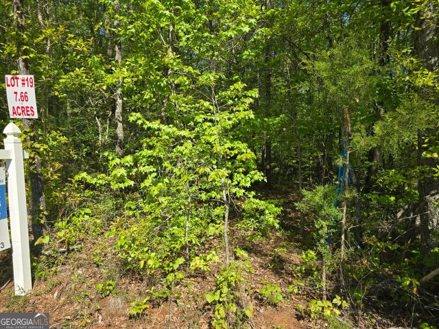 LOT 19 Smith Road