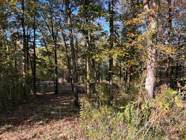 Lot 19 Shoreside Dr