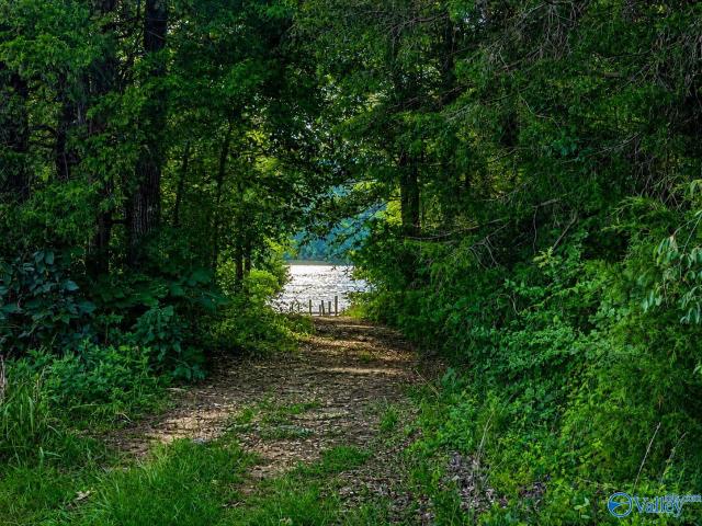 Lot 19 River Pointe Drive
