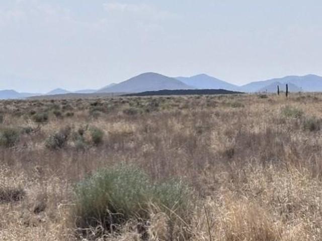 Lot 19 tonerville road