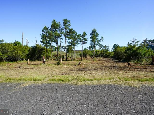 LOT 19E Oak Drive