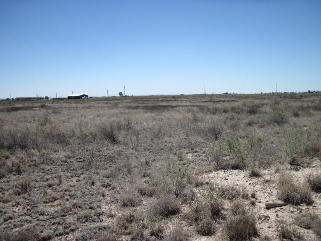 Lot 1 & 2 Espejo